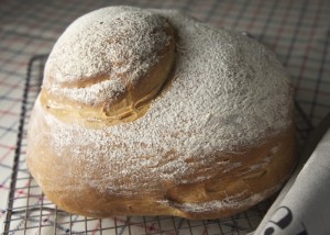 FAVOURITE PHOTOS – The Eating Tree