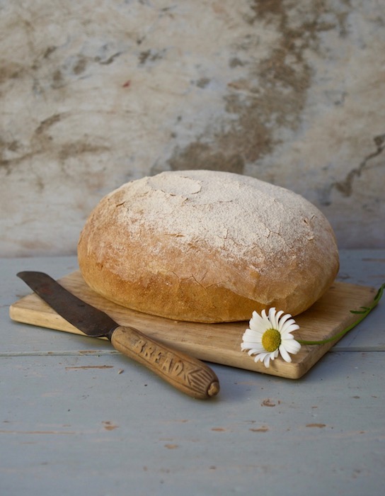 Basic White Bread Loaf – The Eating Tree